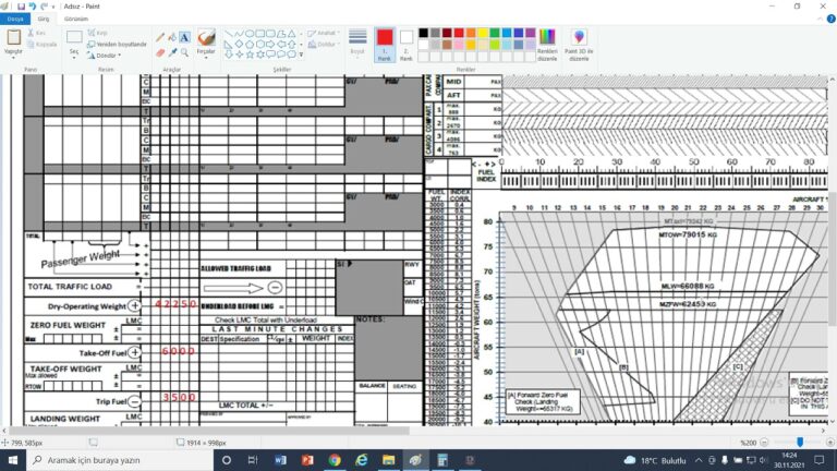 How to Prepare safely Load Sheet for Aircraft 2024 - contentflyers